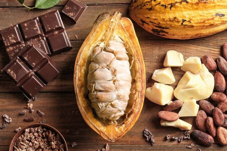 QUY TRÌNH SẢN XUẤT SOCOLA VÀ MỘT SỐ LOẠI SOCOLA THƯỜNG GẶP - TodayIBake ...